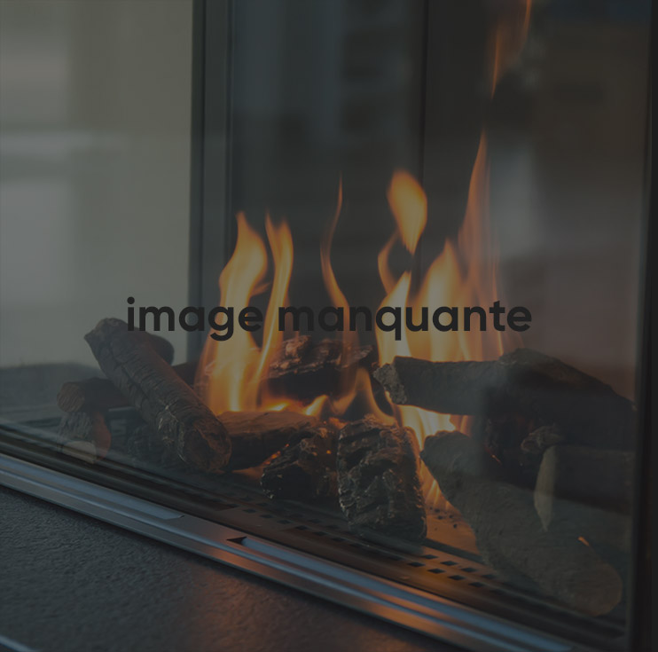 Alliance Feu Design - Poêles hybrides